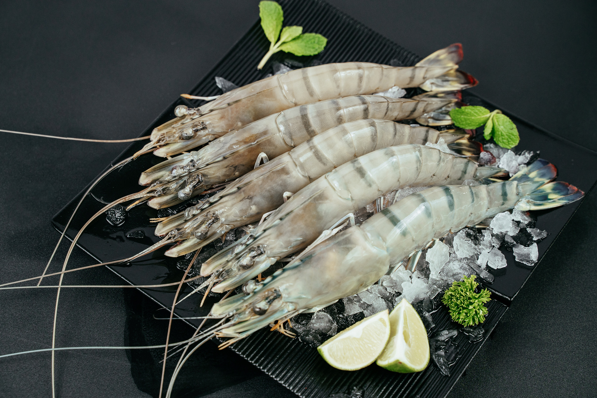 What-we-do - PL Marine Products Sdn. Bhd. | PL Victory Sdn. Bhd.