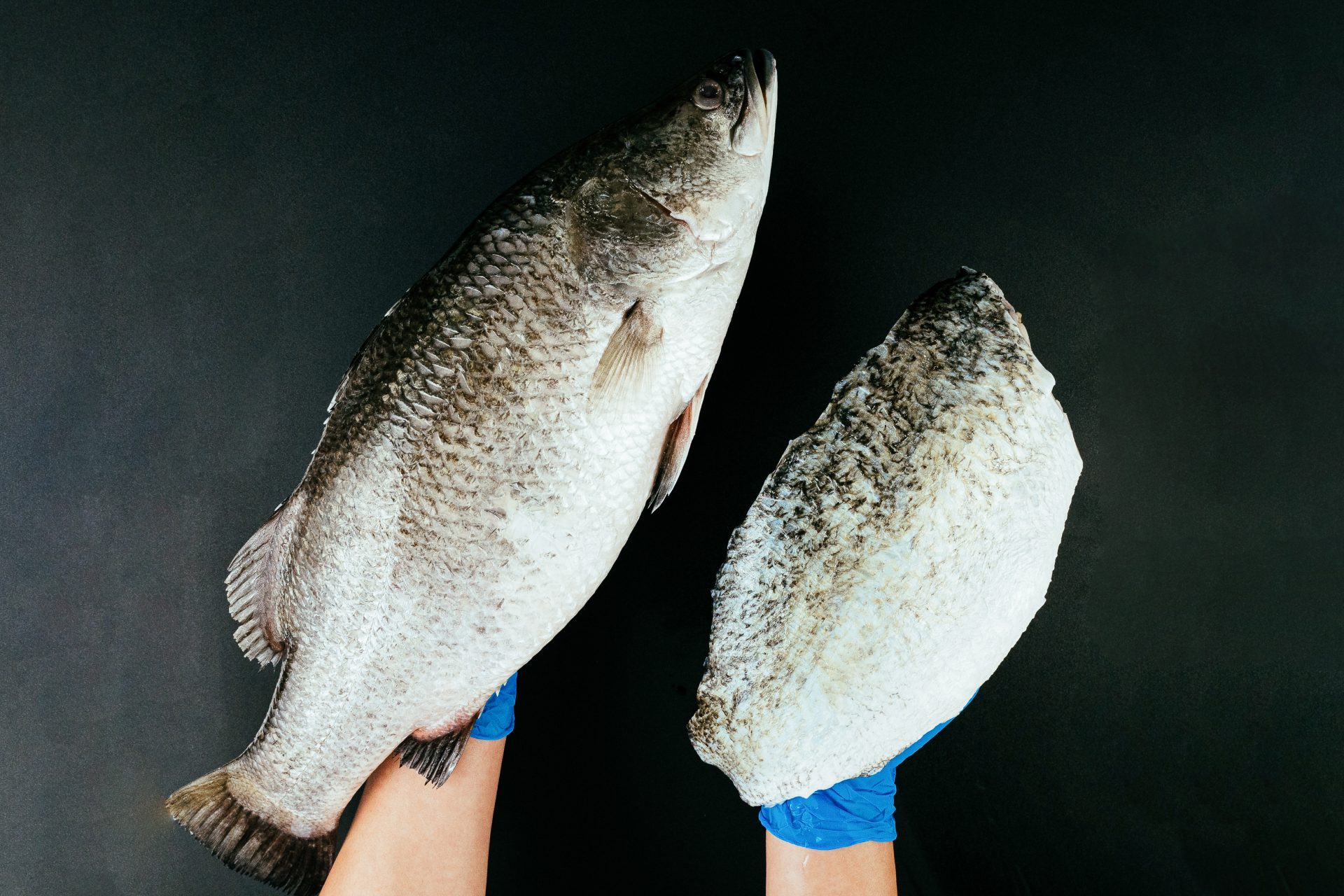 PL Victory-280 - PL Marine Products Sdn. Bhd. | PL Victory Sdn. Bhd.