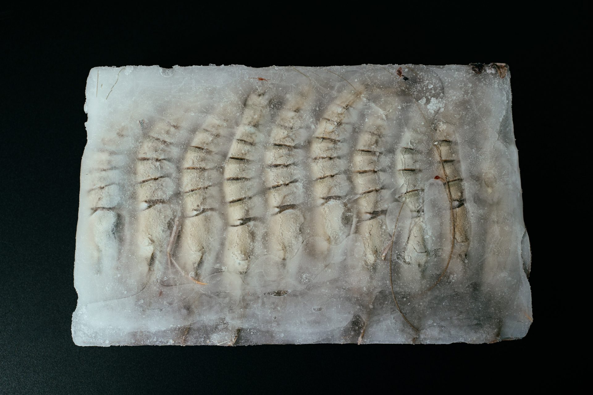 PL Victory-56 - PL Marine Products Sdn. Bhd. | PL Victory Sdn. Bhd.