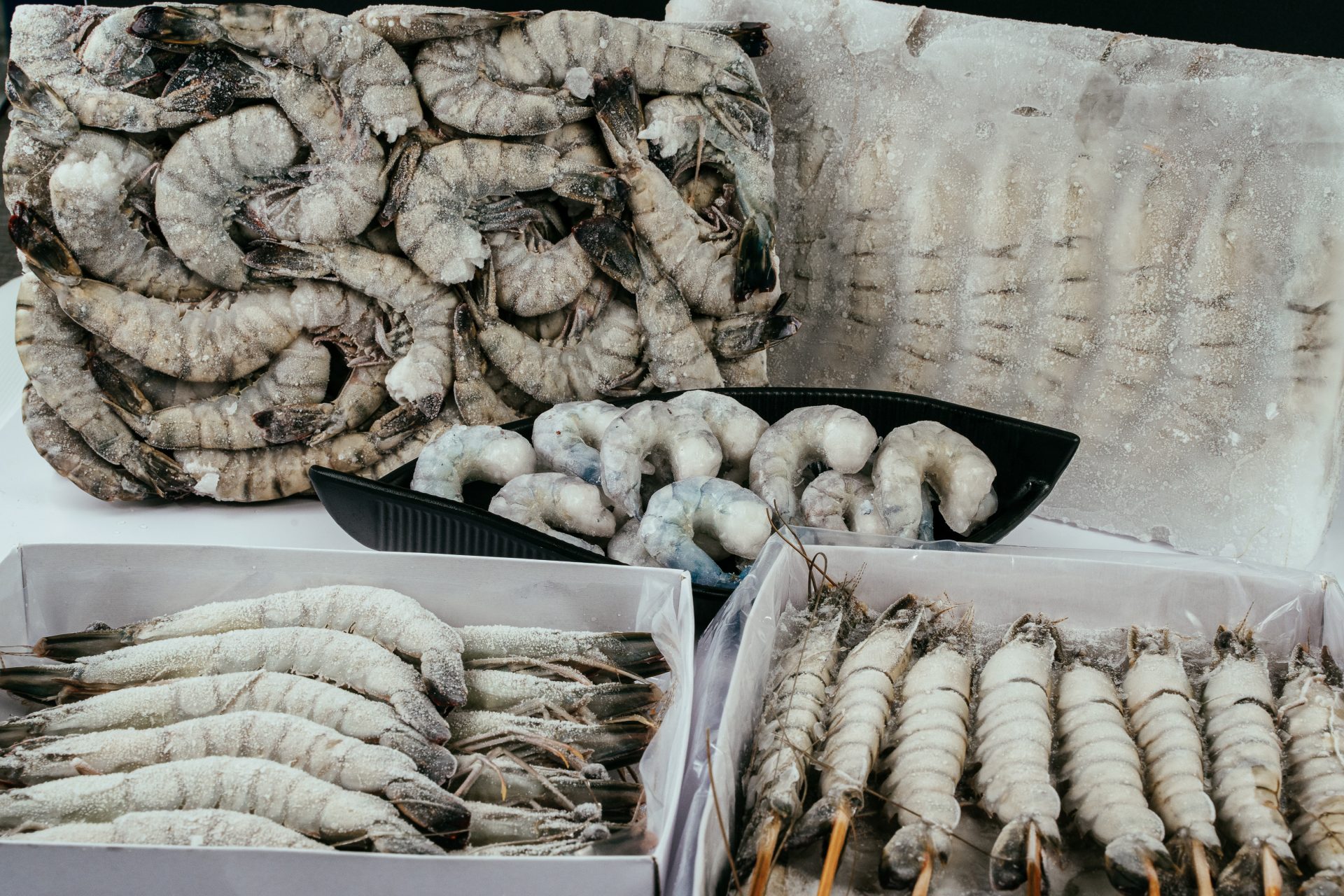 PL Victory-66 - PL Marine Products Sdn. Bhd. | PL Victory Sdn. Bhd.