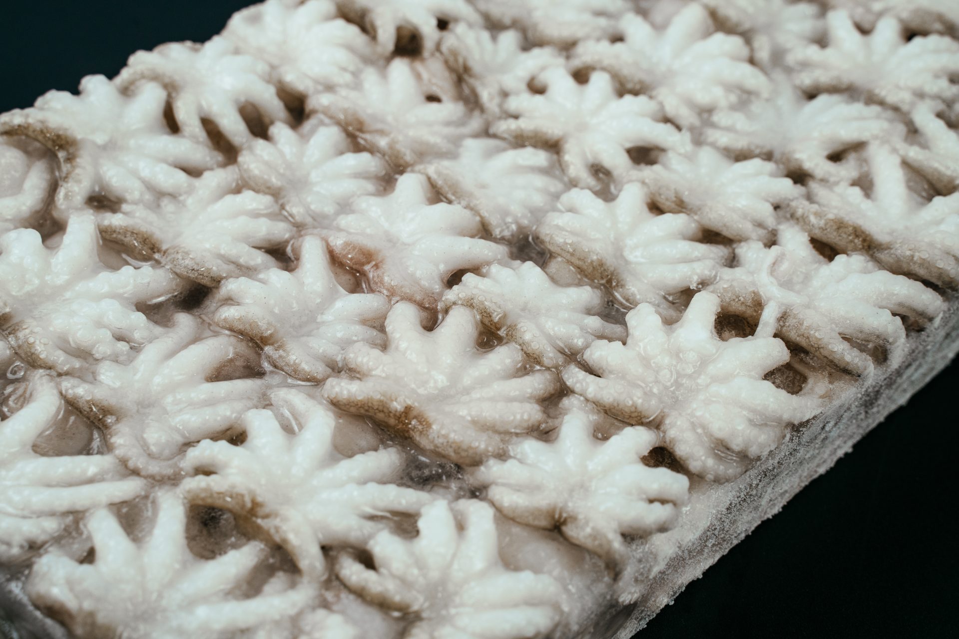 PL Victory-96 - PL Marine Products Sdn. Bhd. | PL Victory Sdn. Bhd.